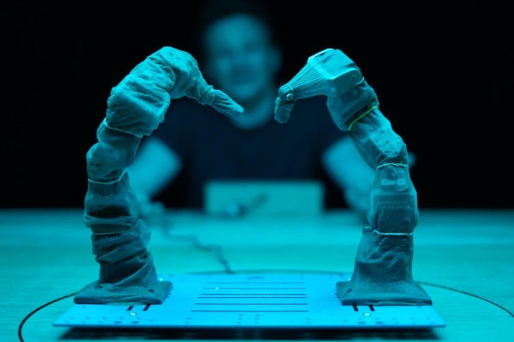 Review: Simple Machines – Manipulate 2024