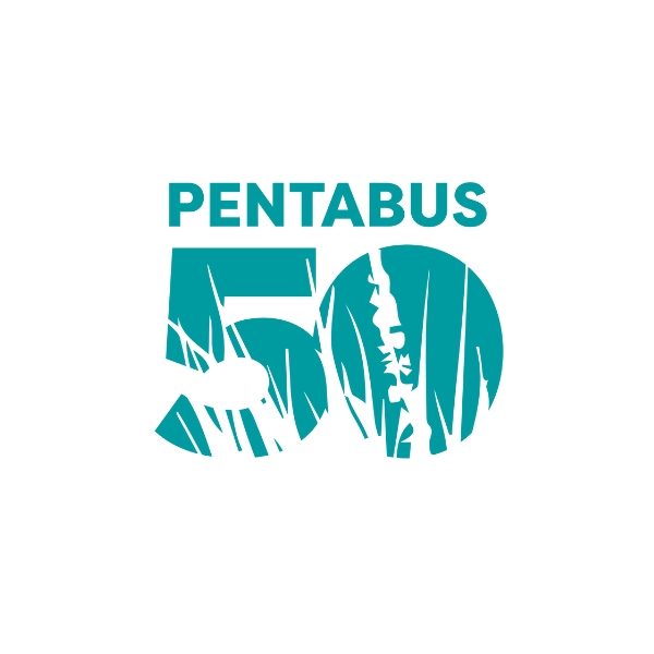 Pentabus opens applications for its 2025 Writer in Residence Bursary